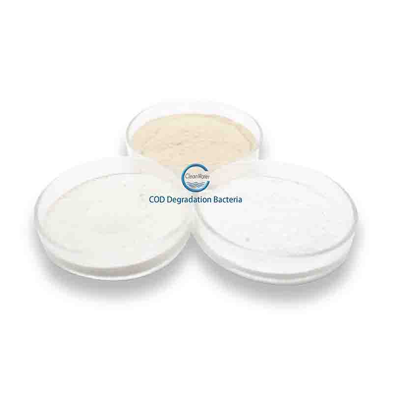 China COD Degradation Bacteria manufacturers and suppliers | Cleanwater